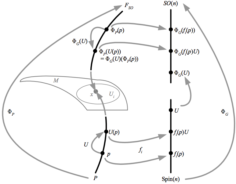 Spinor bundles | Mathematics for Physics